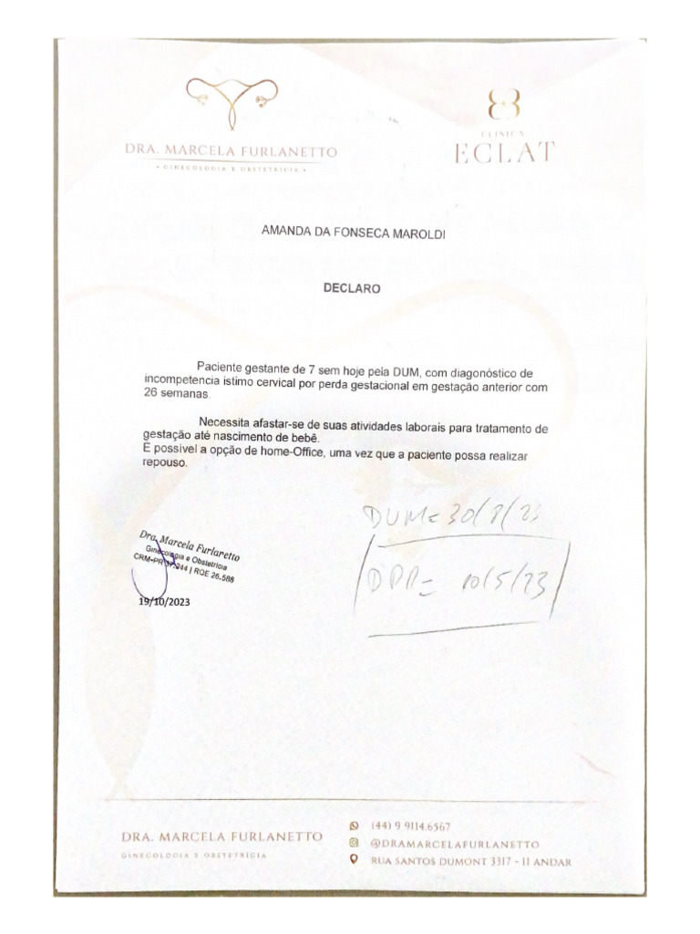 ECLAT | PDF