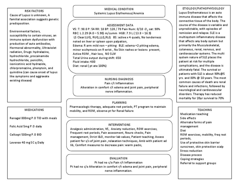 SLE Concept Map | PDF | Systemic Lupus Erythematosus | Epidemiology
