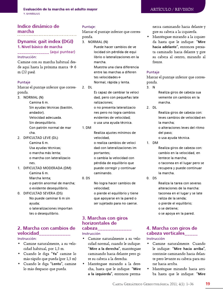DGI Español | PDF