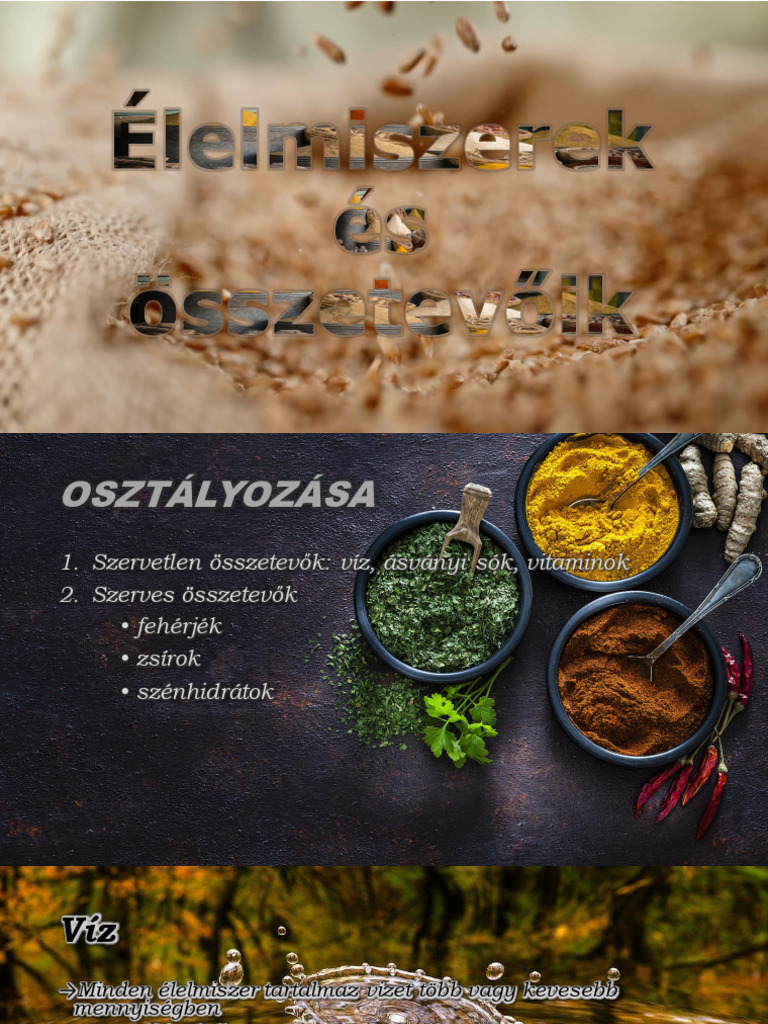 Élelmiszerek És Összetevőik | PDF