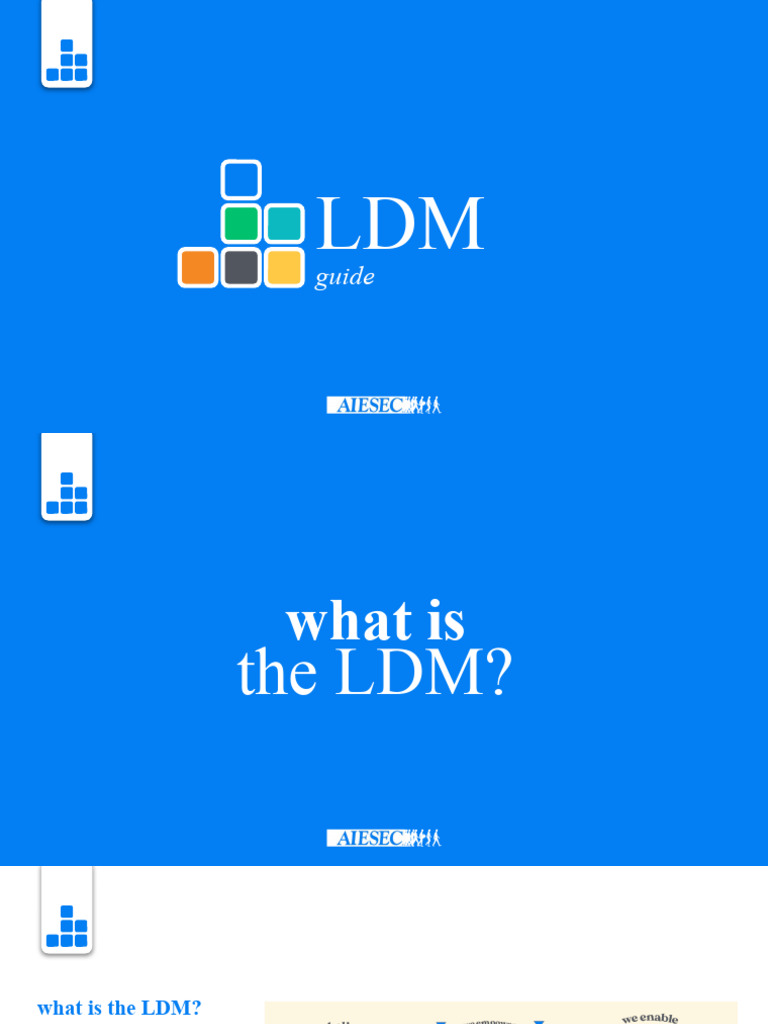 The LDM Guide | PDF | Leadership | Goal