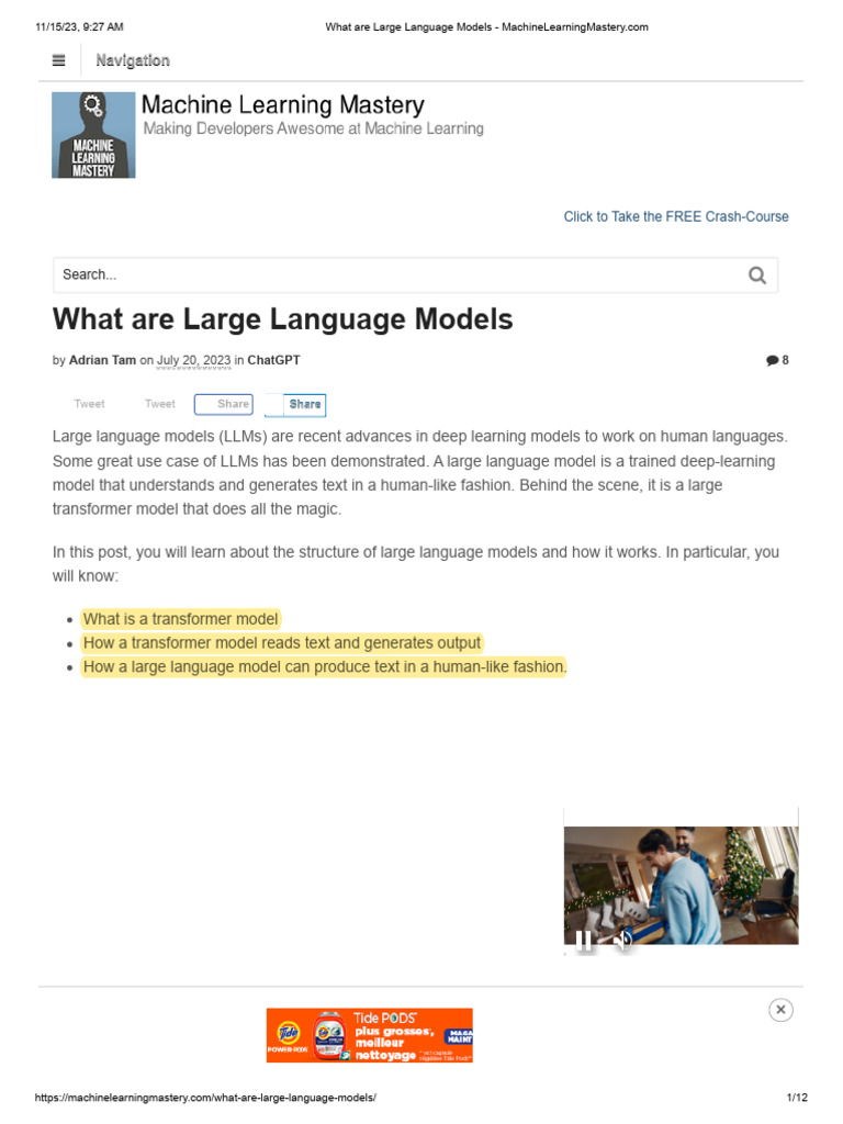 What Are Large Language Models | PDF | Machine Learning | Cognitive Science