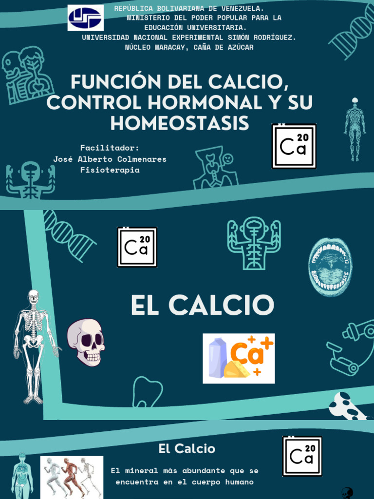 Exposición Funciones Del Calcio, Control Hormonal y Homeostasis ...