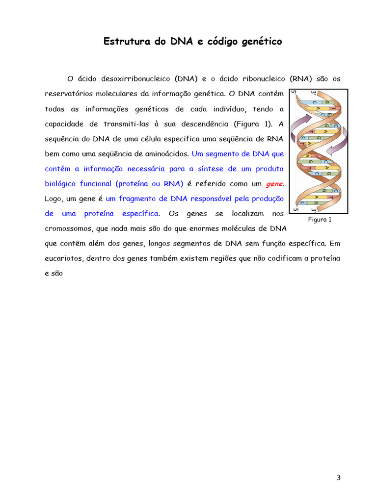 01 Estrutura do DNA e código genético | PDF | Gene | RNA