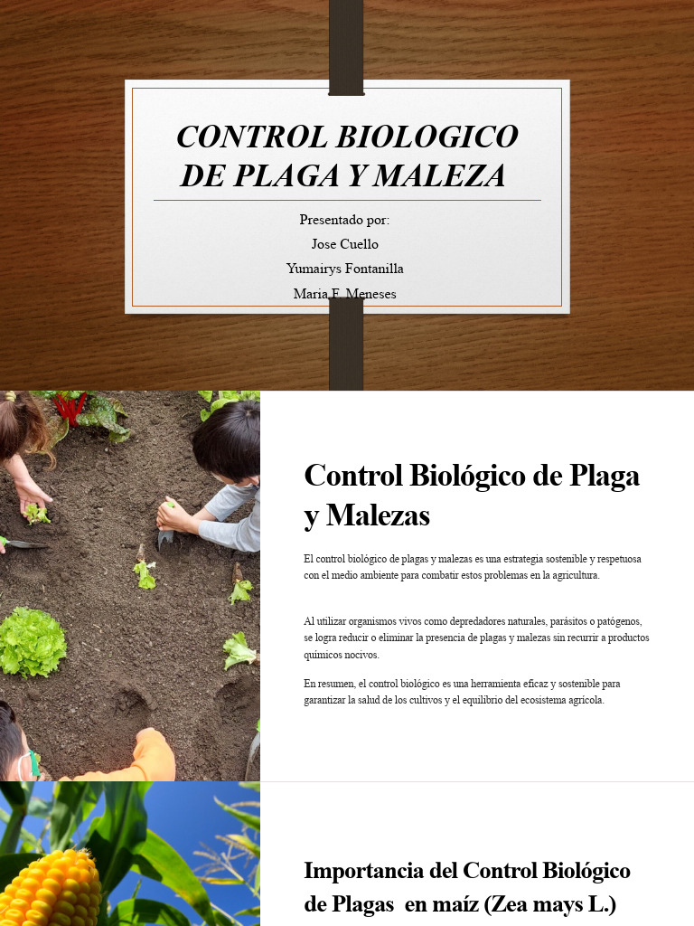 Control-Biologico-de-Plaga-y-Malezas | PDF | Control biológico de ...