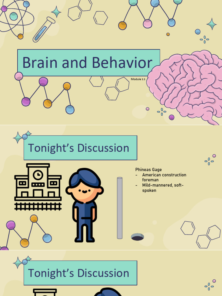 Module 3.3 Brain and Behavior | PDF | Central Nervous System | Cerebral ...