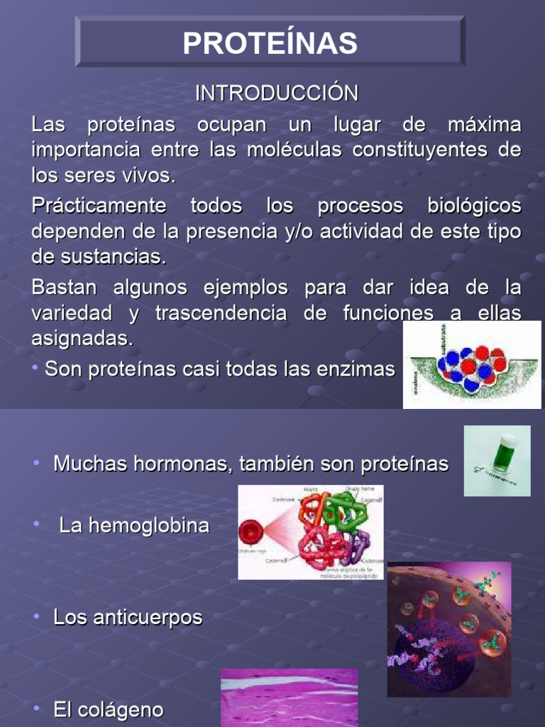 4 Proteinas | PDF