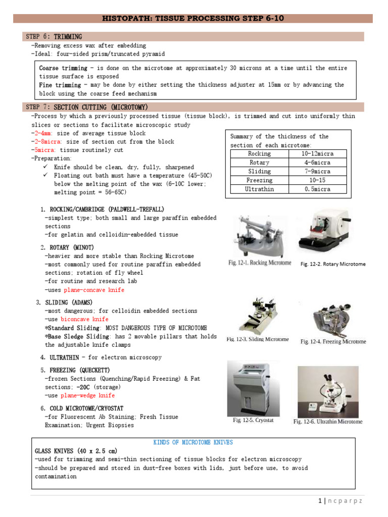 Step 6-10 Tissue Processing | PDF | Staining | Dye