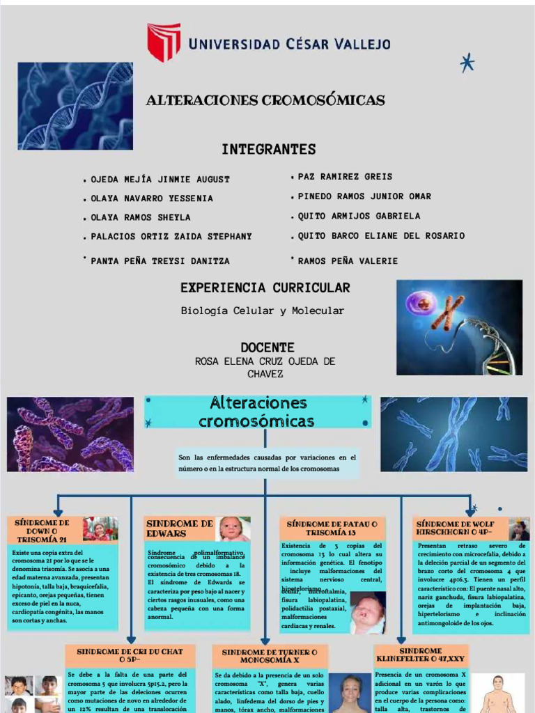 pdf-mapa-conceptual-alteraciones-cromosomicas_compress | PDF