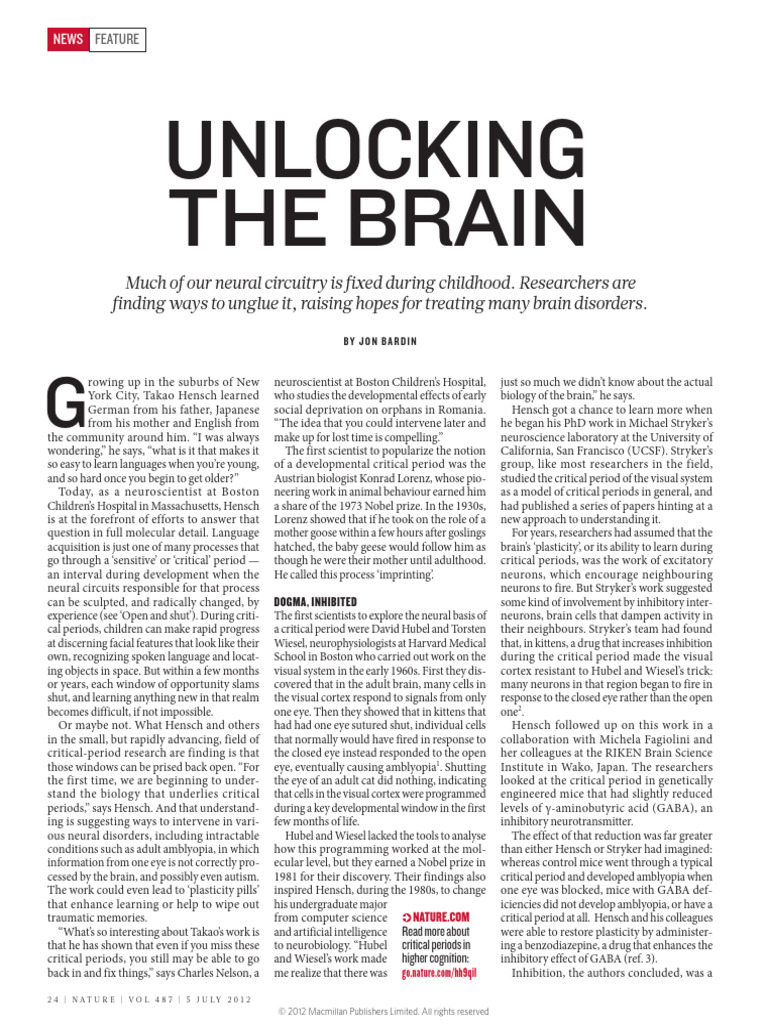 Desbloque Cerebro Ing | PDF | Brain | Nervous System