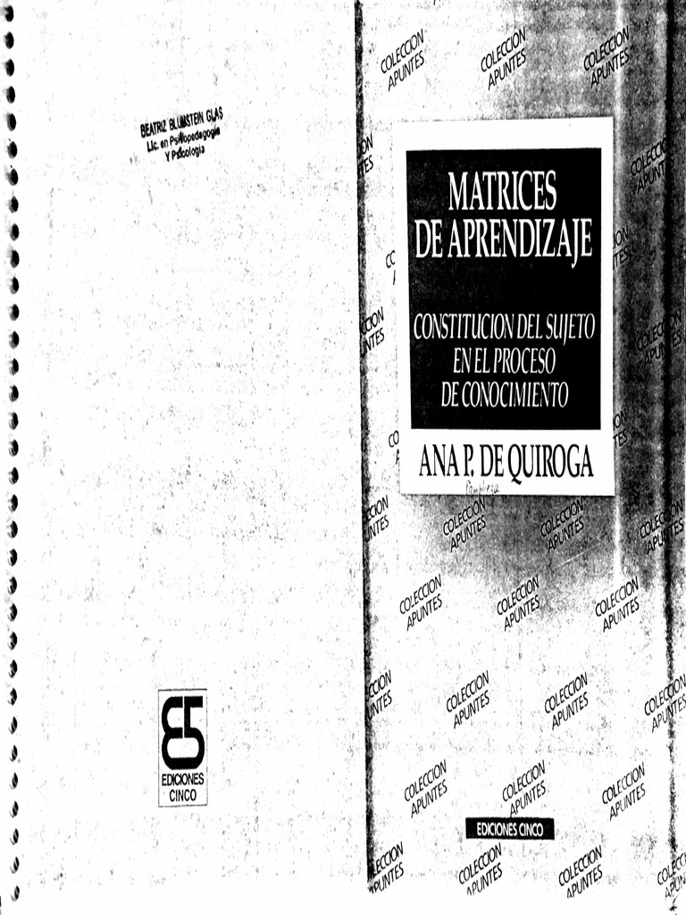 Matrices de Aprendizaje Ana Quiroga | PDF