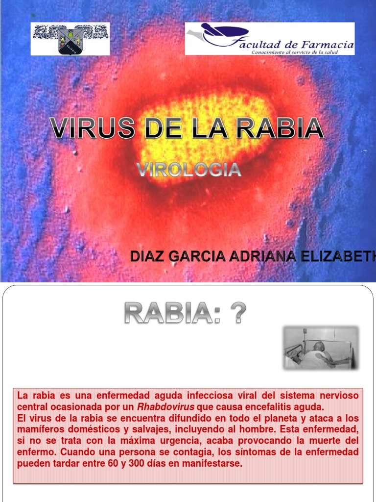 Virus Rabia | PDF | Rabia | Virus