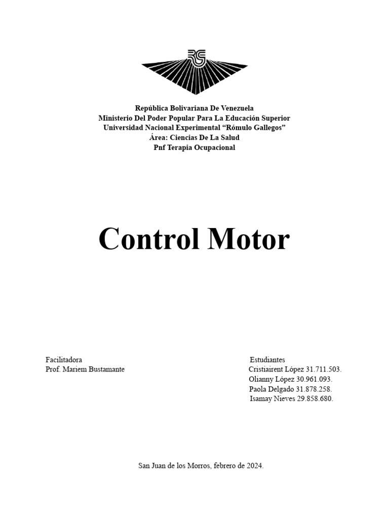 Control Motor | PDF | Terapia ocupacional | Evaluación