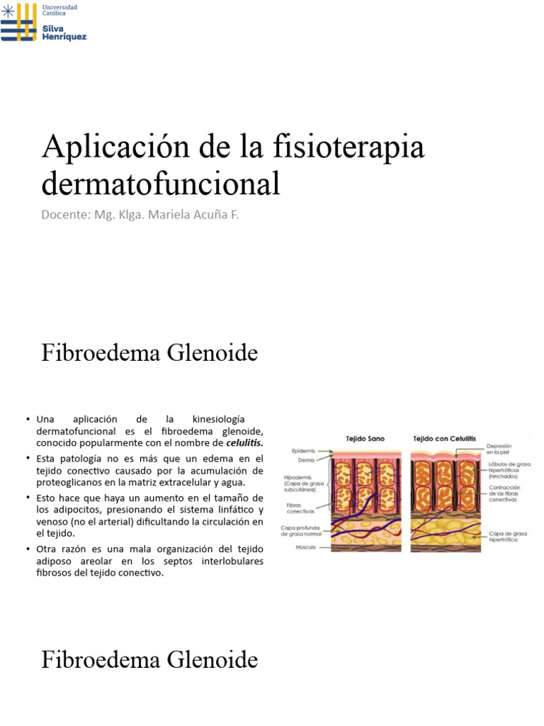 Clase 4 Dermato | PDF