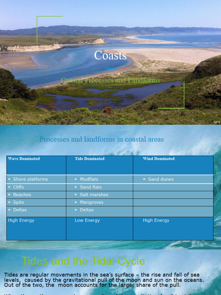 Coastal Landforms | PDF | Tide | Coast