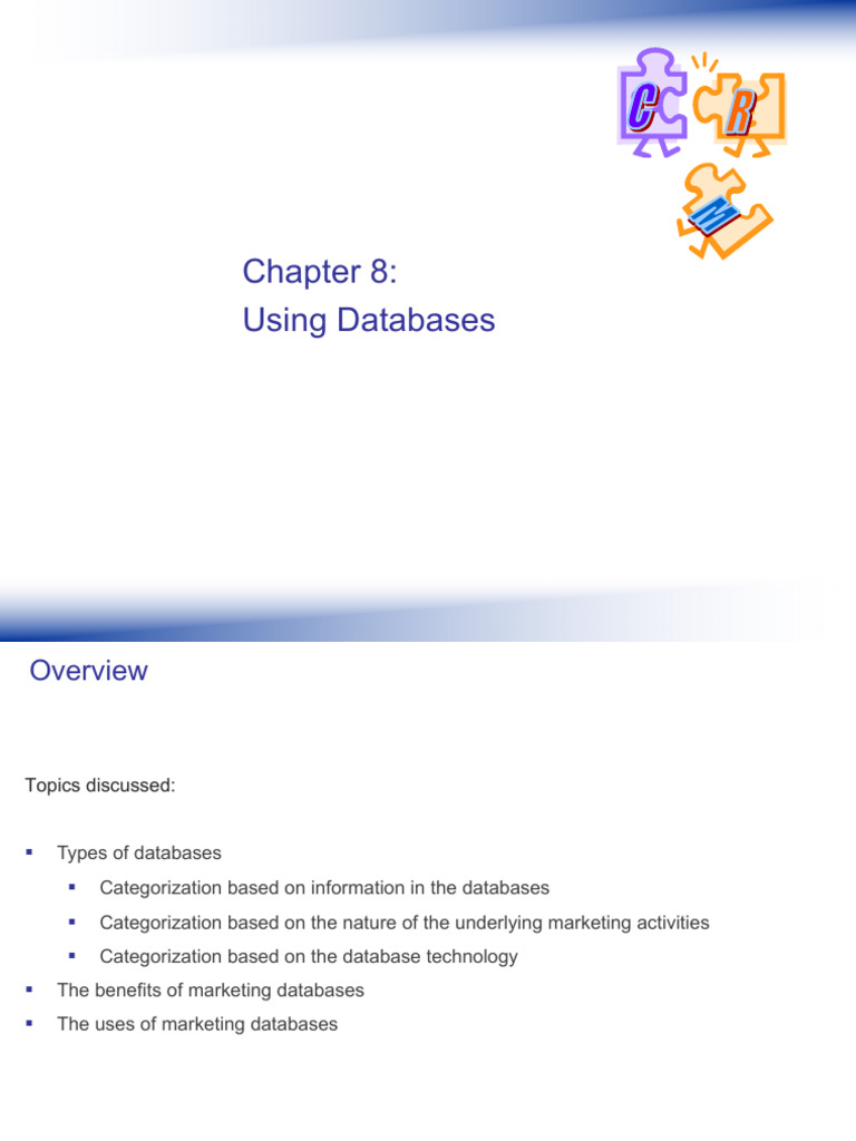 Marketing Database Strategies Explained | PDF