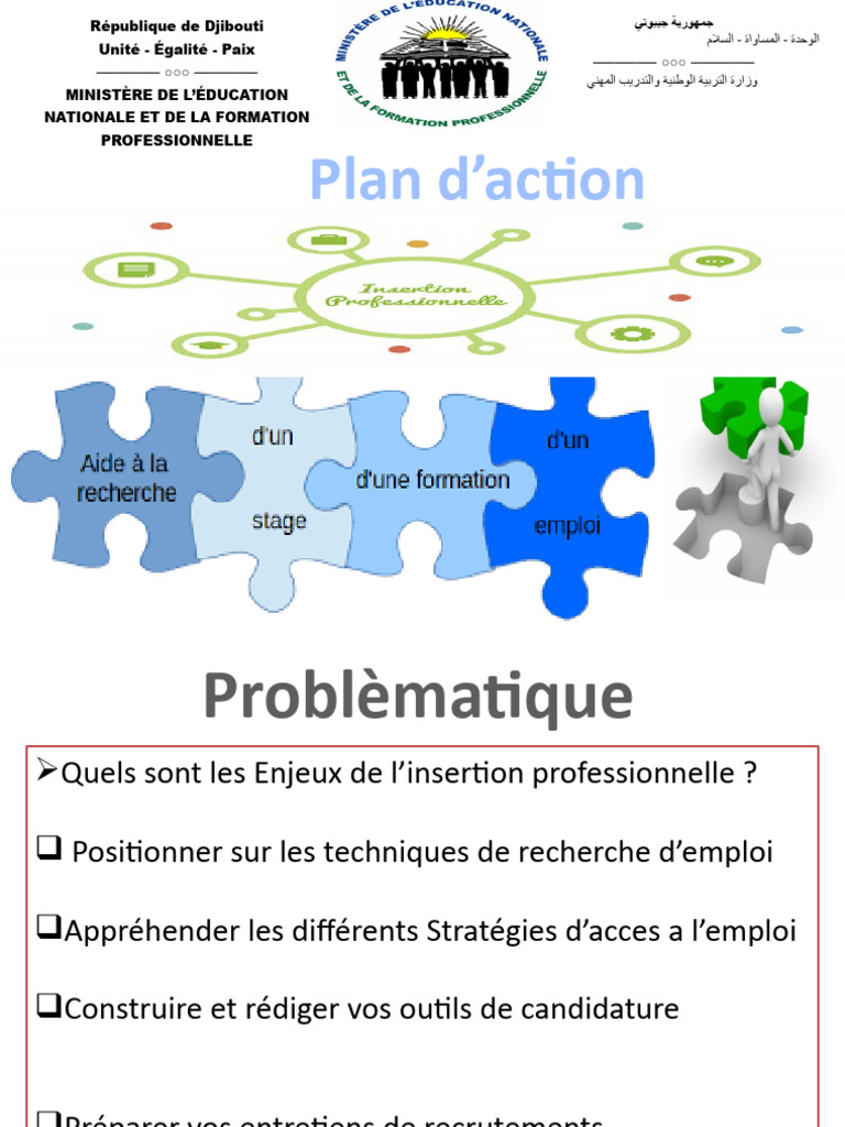 Plan d'Action pour l'Insertion Professionnelle | PDF | Affaires