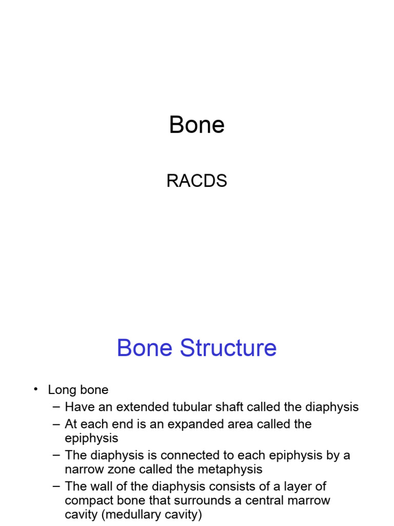 Bone | PDF