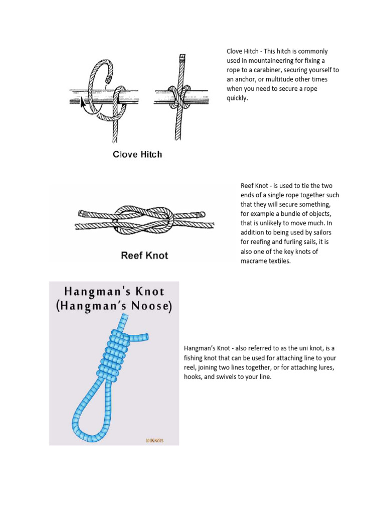 Assessment Module 5 - Knots PDF | PDF