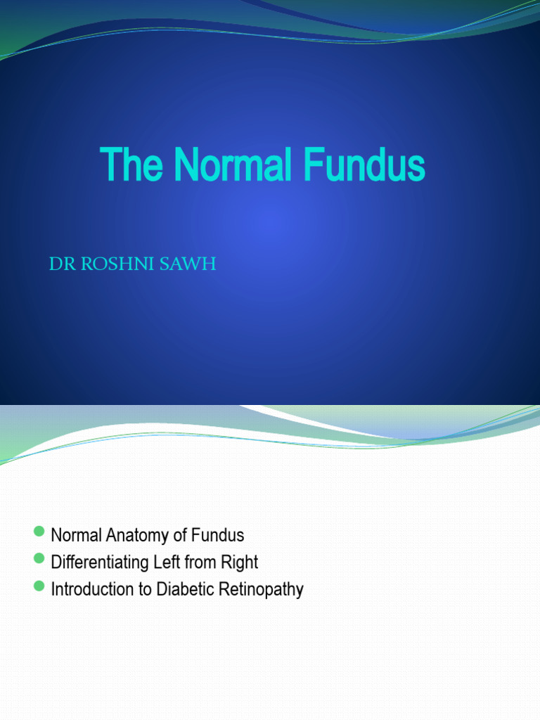 Understanding Normal Fundus Anatomy | PDF | Retina | Vision