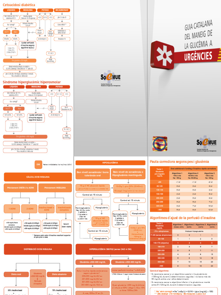 Triptic Maneig Glucèmia Juny 2019 | PDF