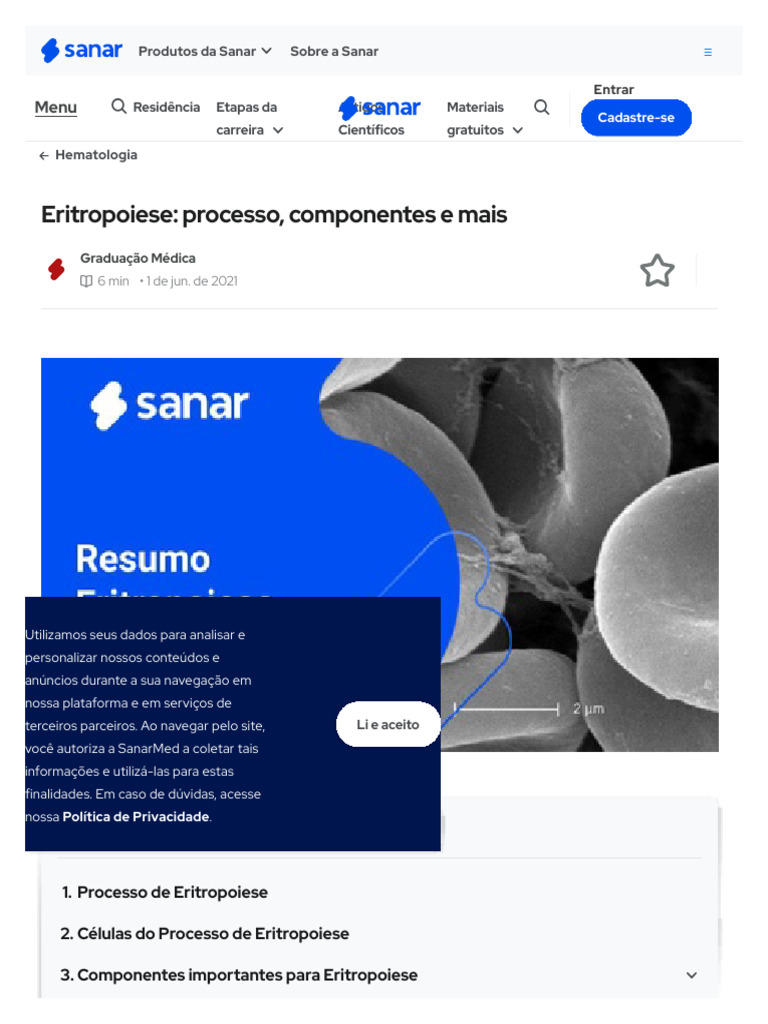Eritropoiese: Processo, Componentes e Mais - Sanar Medicina | PDF ...