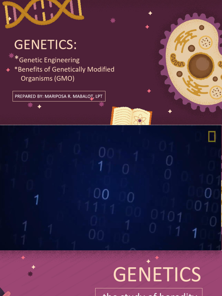 Genetic Engineering and GMOs Explained | PDF