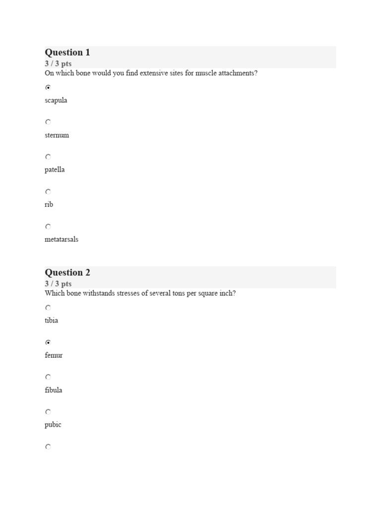 Bone and Muscle Anatomy Quiz | PDF | Skeletal Muscle | Skeletal System
