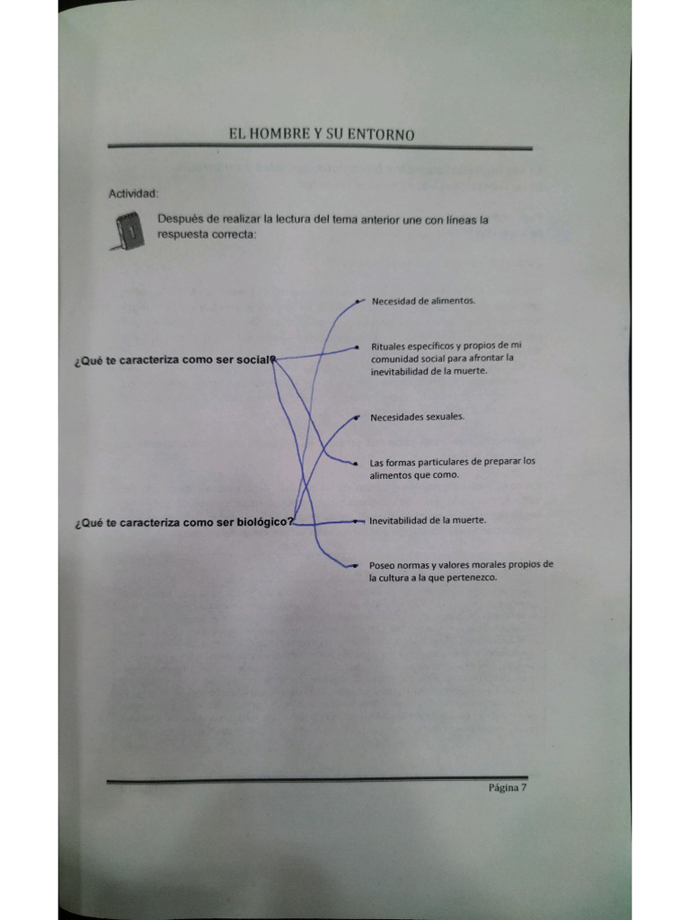 nm04 Actividad 1 | PDF