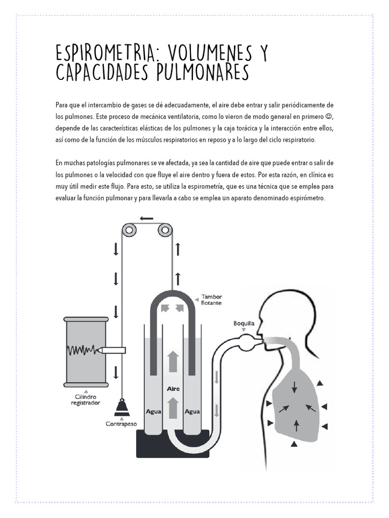 Espirometría: Guía de Volúmenes y Capacidades | PDF | Pulmón | Sistema ...