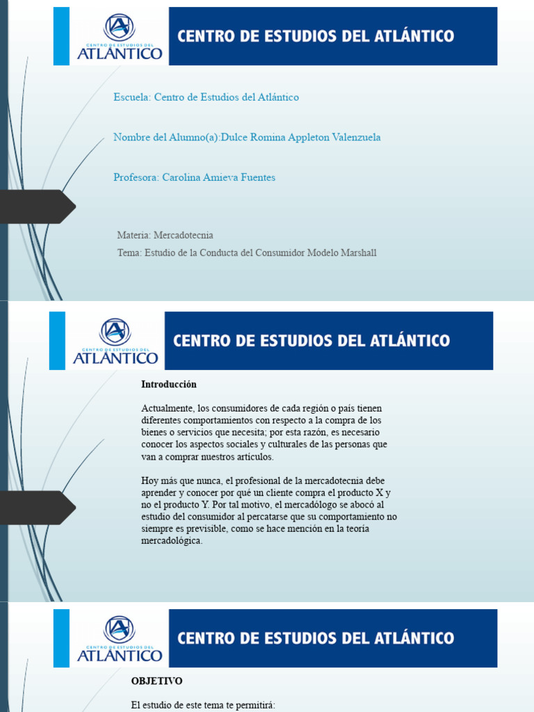 Modelo Marshall - Dulce Romina Appleton Valenzuela | PDF | Marketing ...