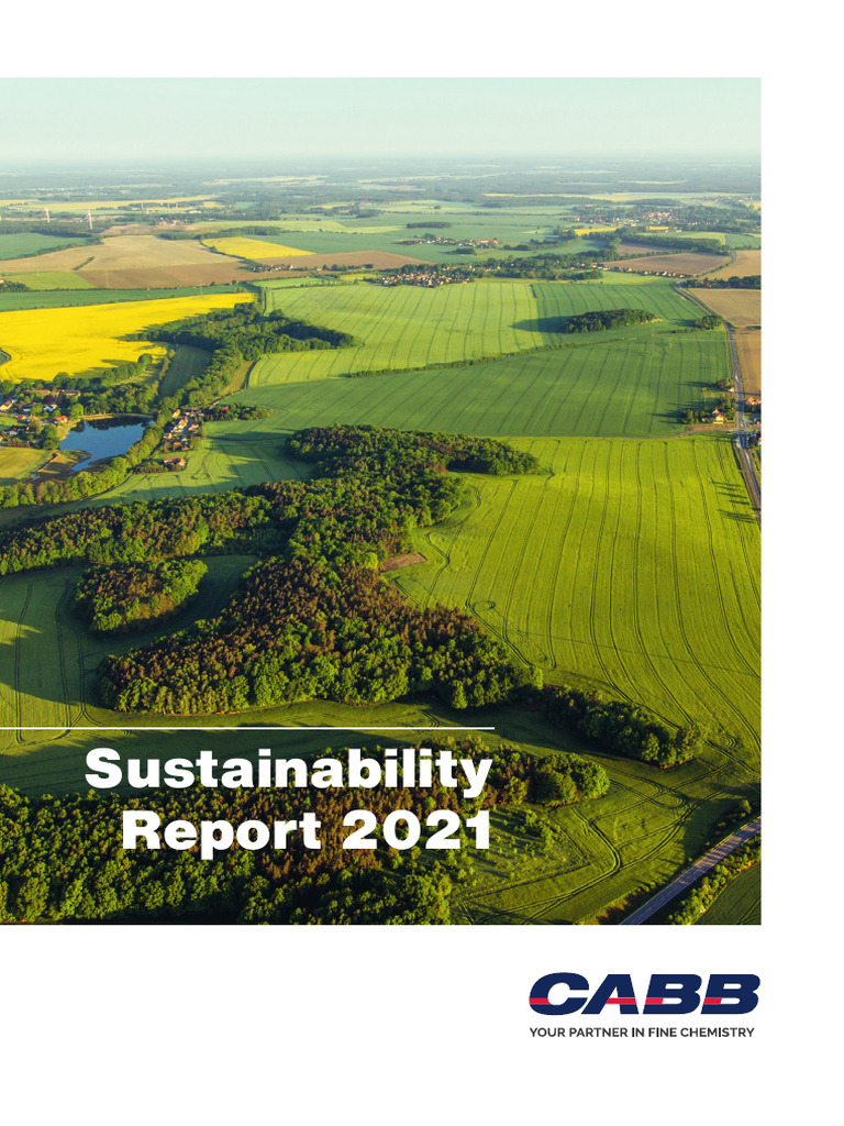 CABB Sustainability Report 2021 | PDF | Sustainability | Efficient Energy Use