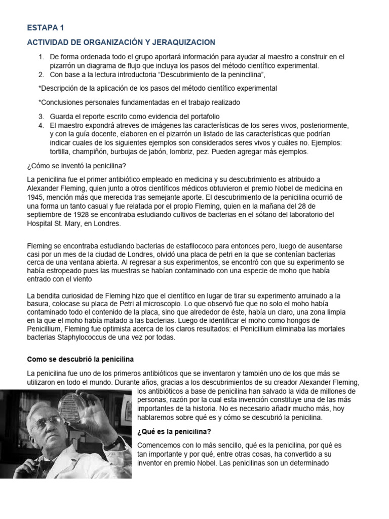 Act de Organizacion y Jerarquizacion Biologia Etapas 1 2 3 4 | PDF | Penicilina | Agua