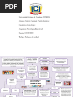 Mapa Conceptual Diversidad Cultural | PDF | Interculturalidad | Educacion Cultural
