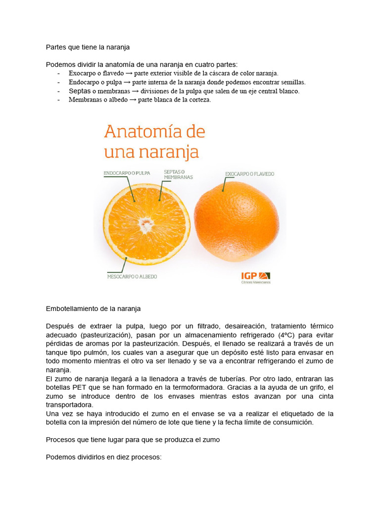 Partes que tiene la naranja2 | PDF | Zumo de naranja | Naranja)