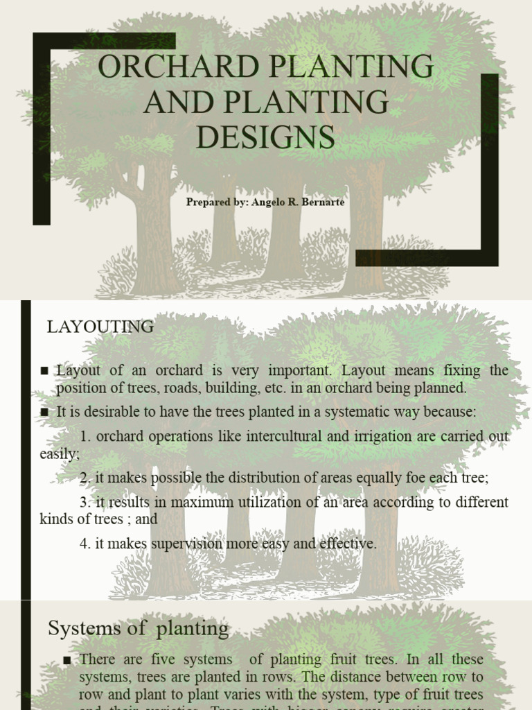 Orchard Planting and Planting Designs (Lesson Tom!) | PDF