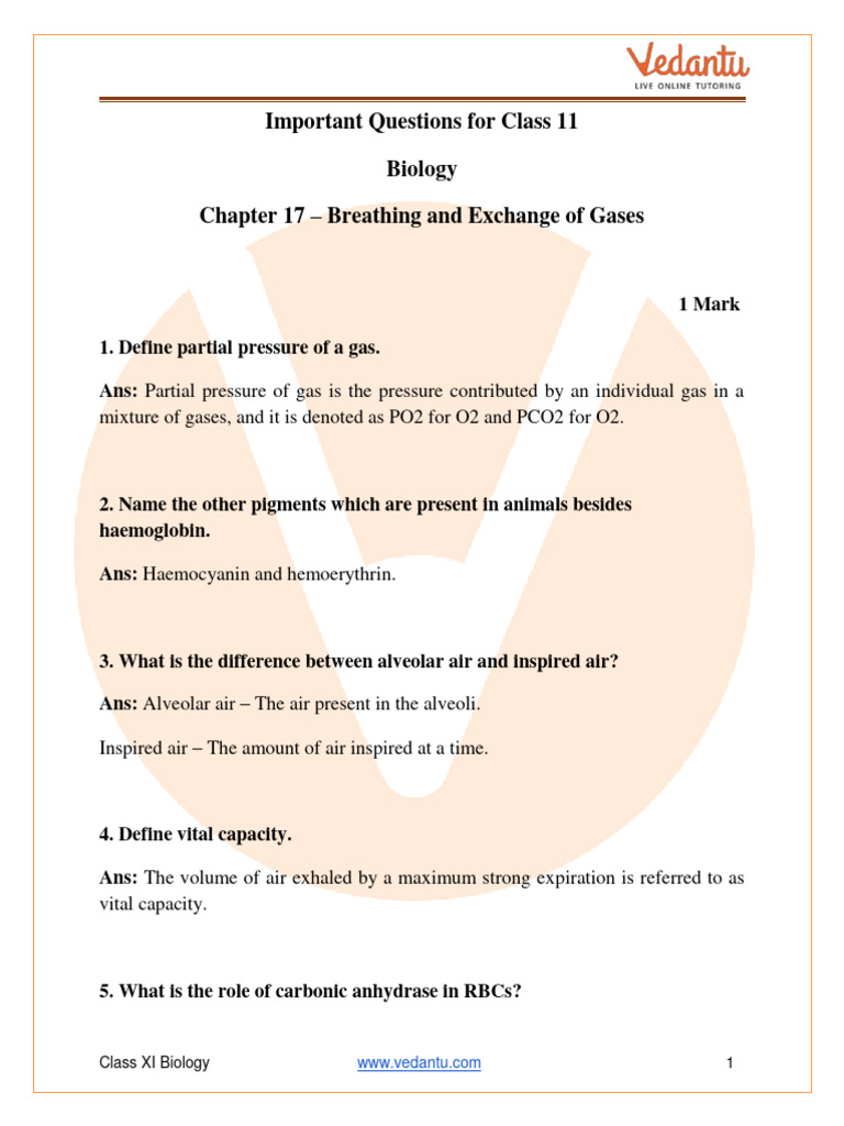 Breathing and Exchange of Gases Important Questions 2023-24 | PDF