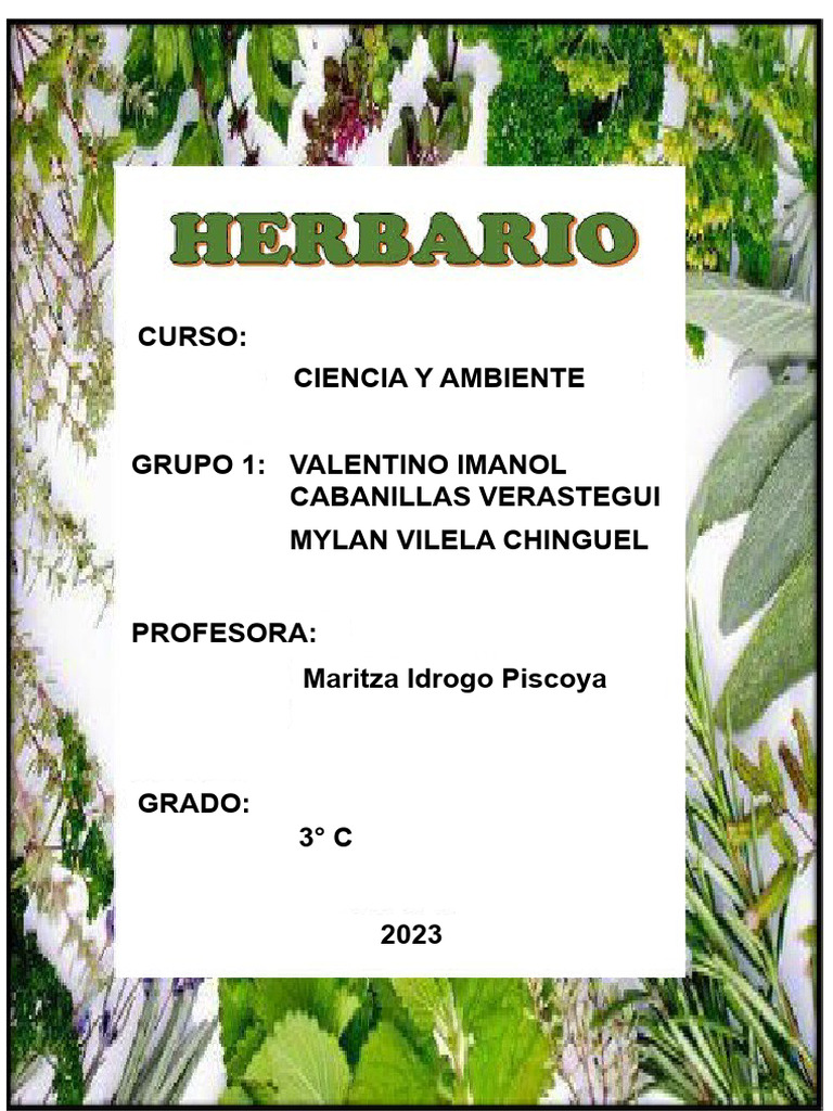 Herbario Pdf Apio Albahaca