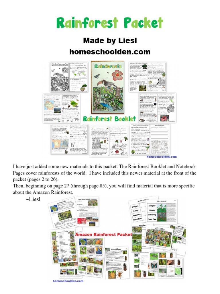 Rainforest Unit | PDF | Rainforest | Amazon Rainforest