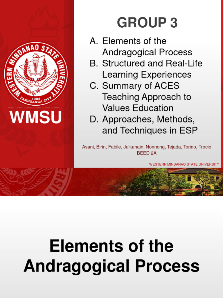 Group 3 | PDF | Learning | Experience