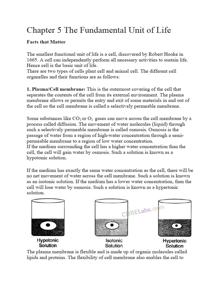 Bio Cell Notes | PDF
