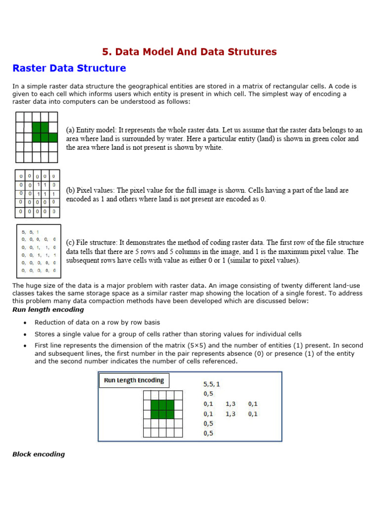 Rastar Data Structure | PDF | Graphic Design | Computing
