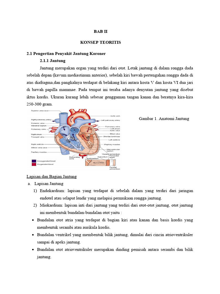 Konsep Teoritis PJK | PDF