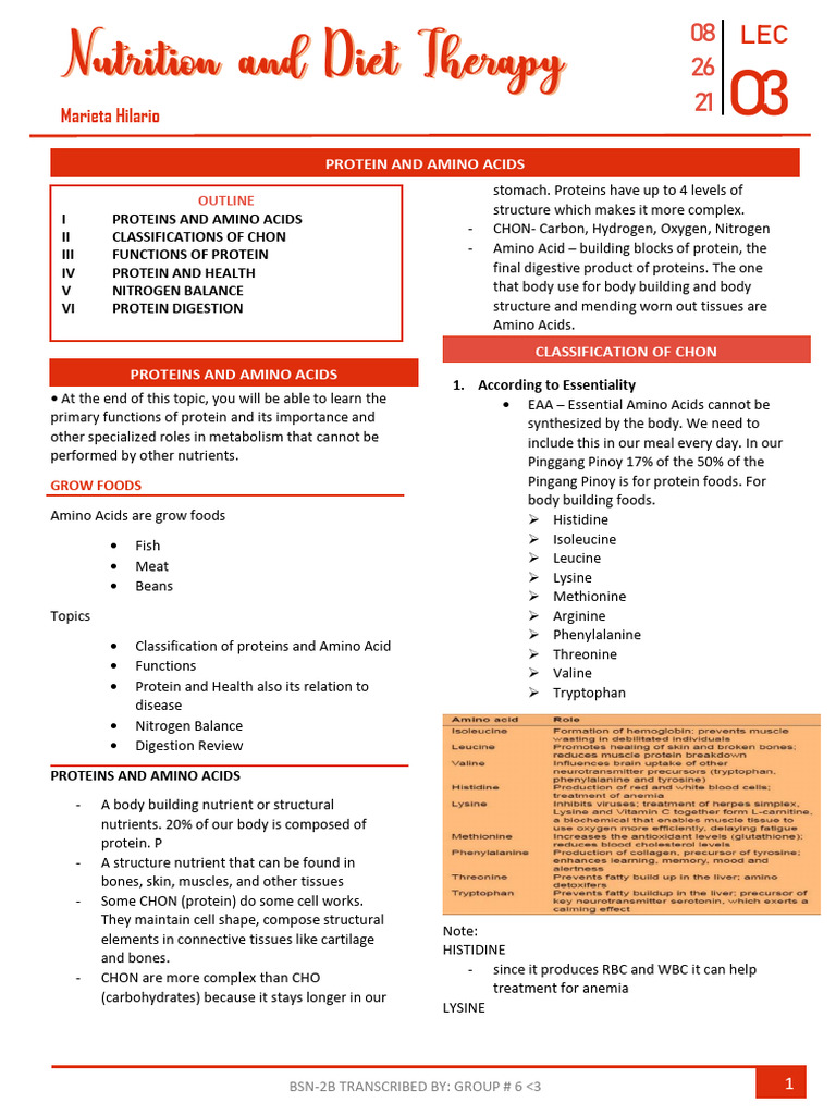 Protein Functions and Health Guide | PDF | Nutrients | Amino Acid