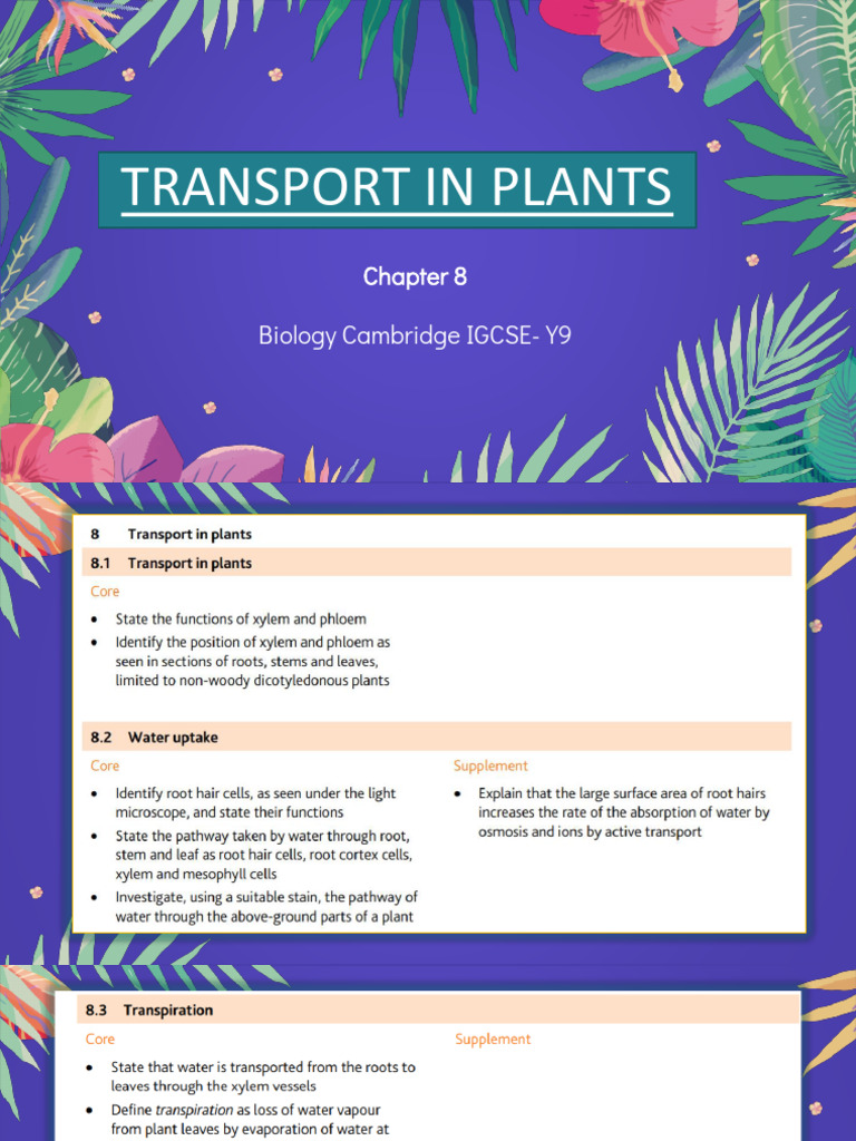 Chapter 8 Transport in Plants 8.1 & 8.2 | Download Free PDF | Leaf | Root