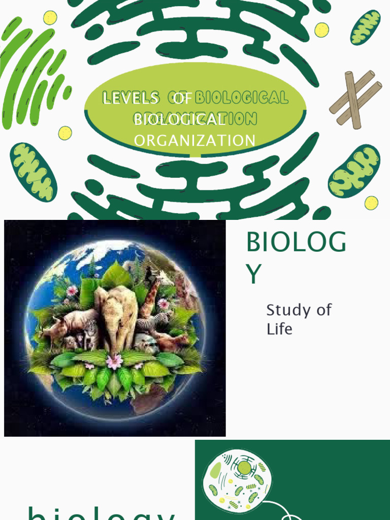 Hierarchical Levels of Biological Organization | PDF