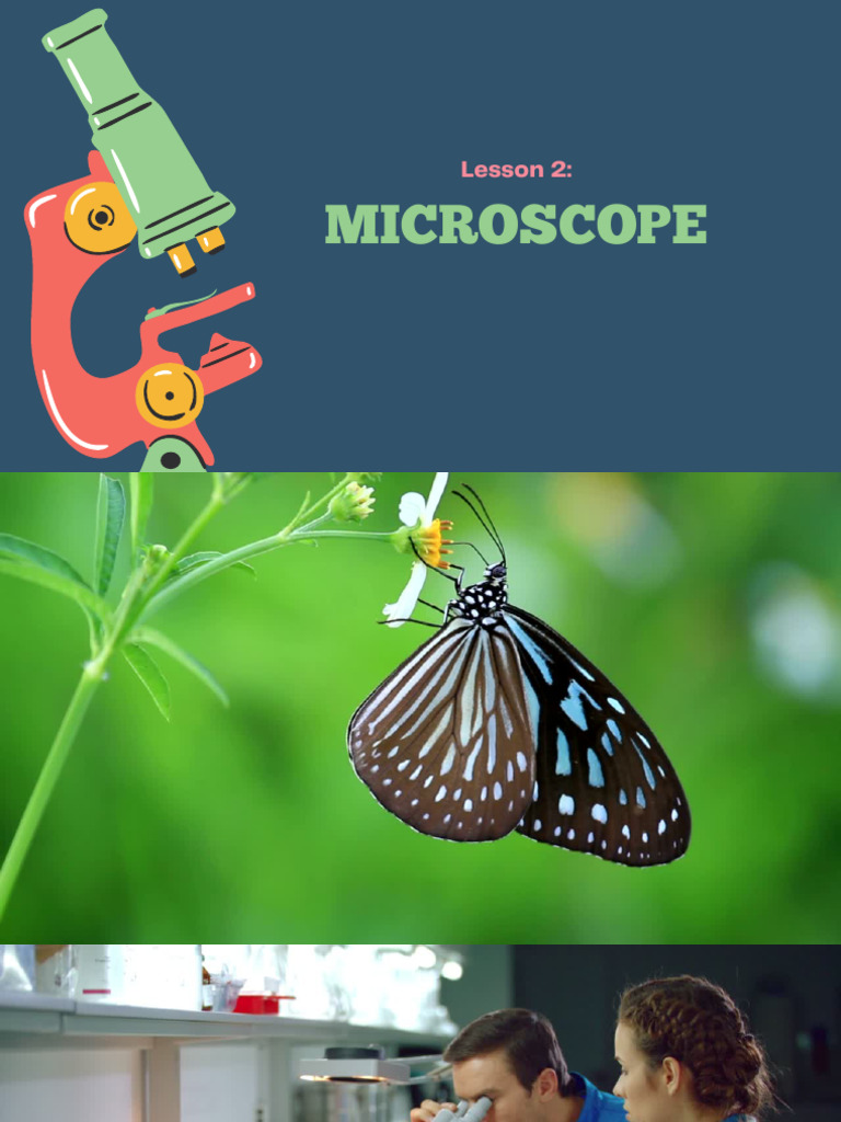 Q3+L2+G7+MICROSCOPE | PDF | Physical Sciences | Materials Science