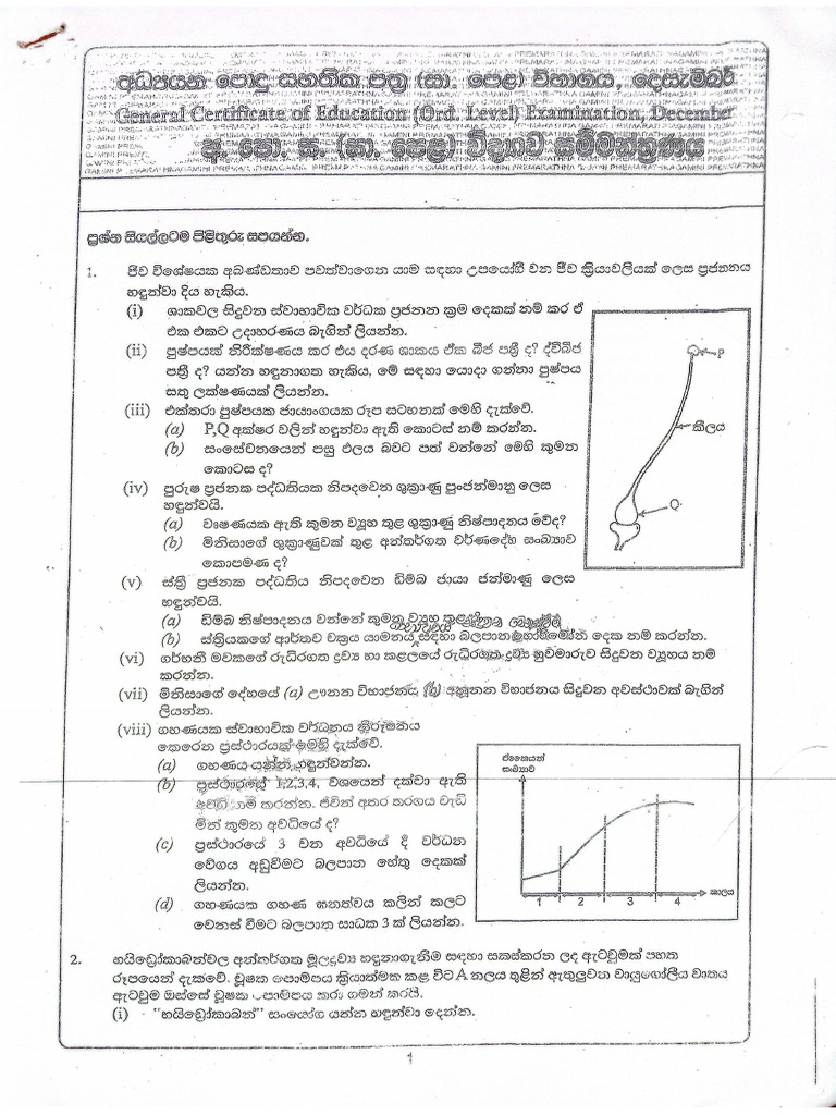 Ordinary Level Model Paper Part LL | PDF