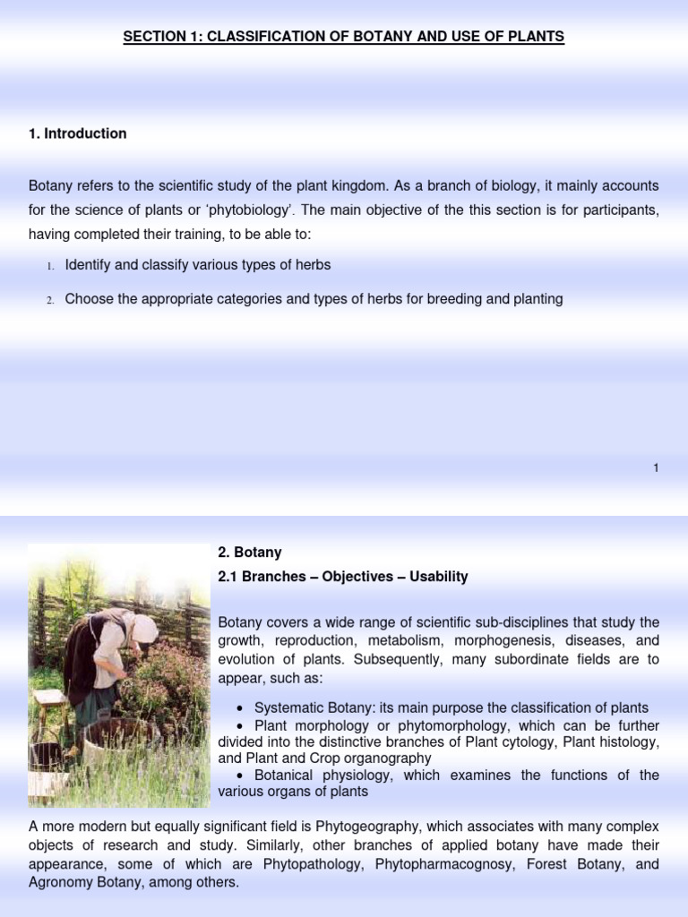 Classification of Botany and Use of Plants Author Instytut Zootechniki ...