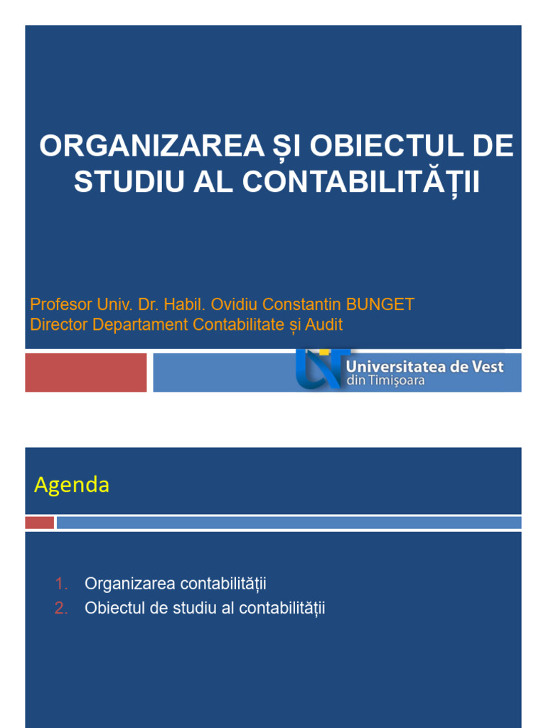 Cursul Nr. 2 - Bazele Contabilitatii | PDF